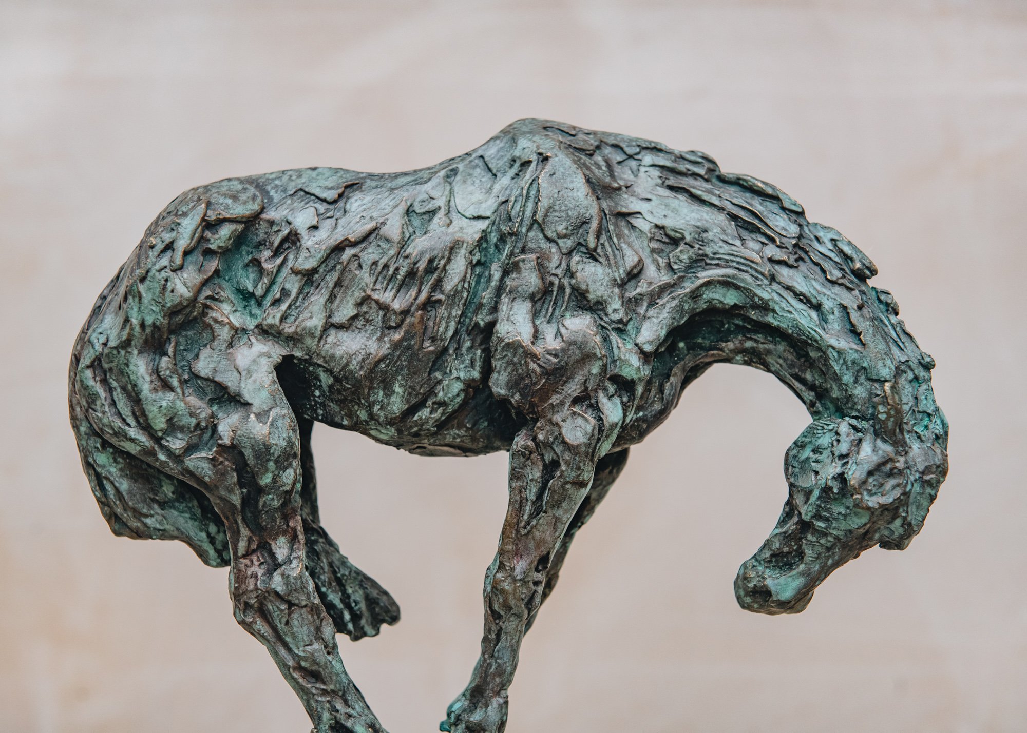 In Conversation with Jane Shaw – Burford Garden Co.