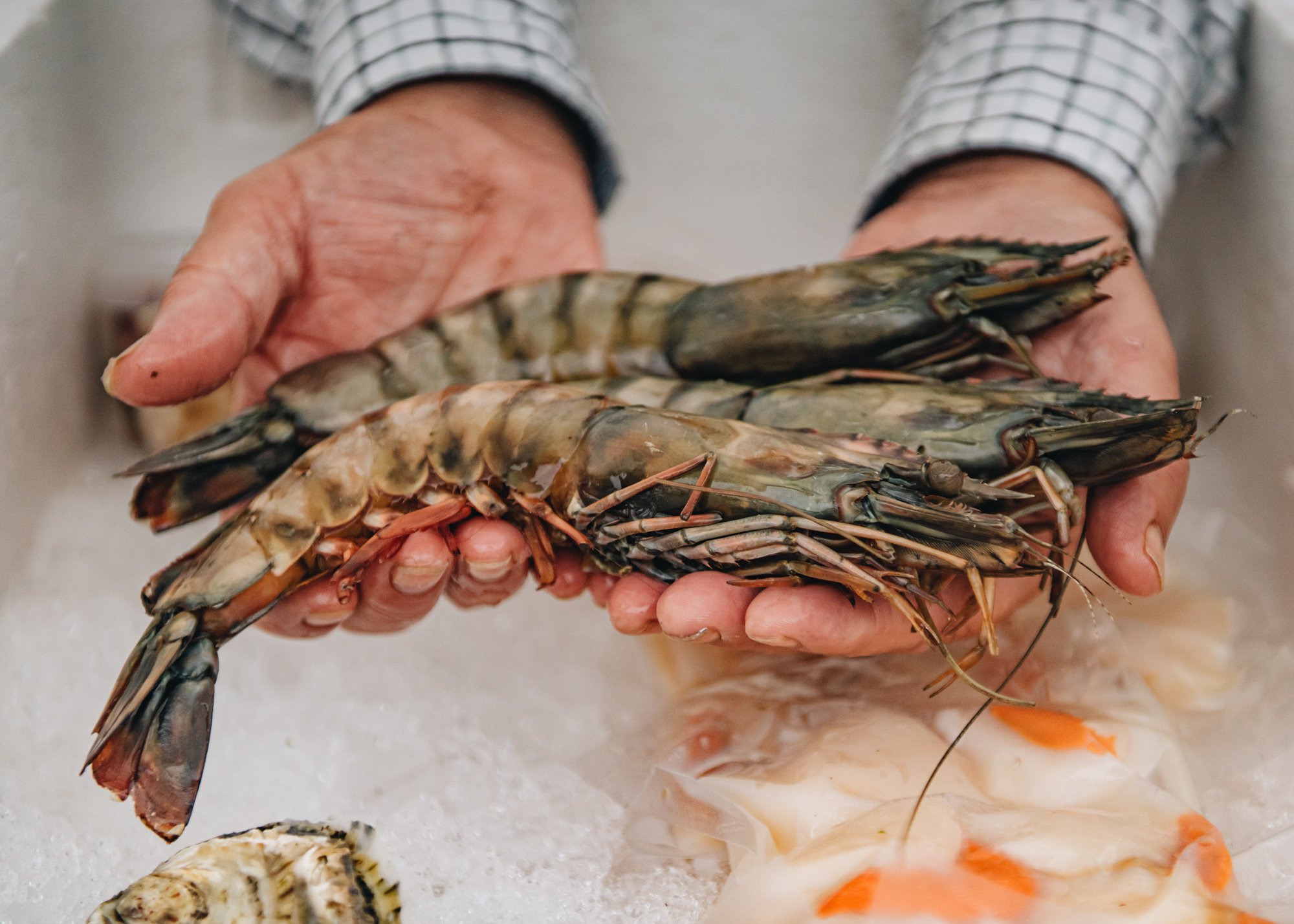Friday Fish with the Padstow Fish Company – Burford Garden Co.