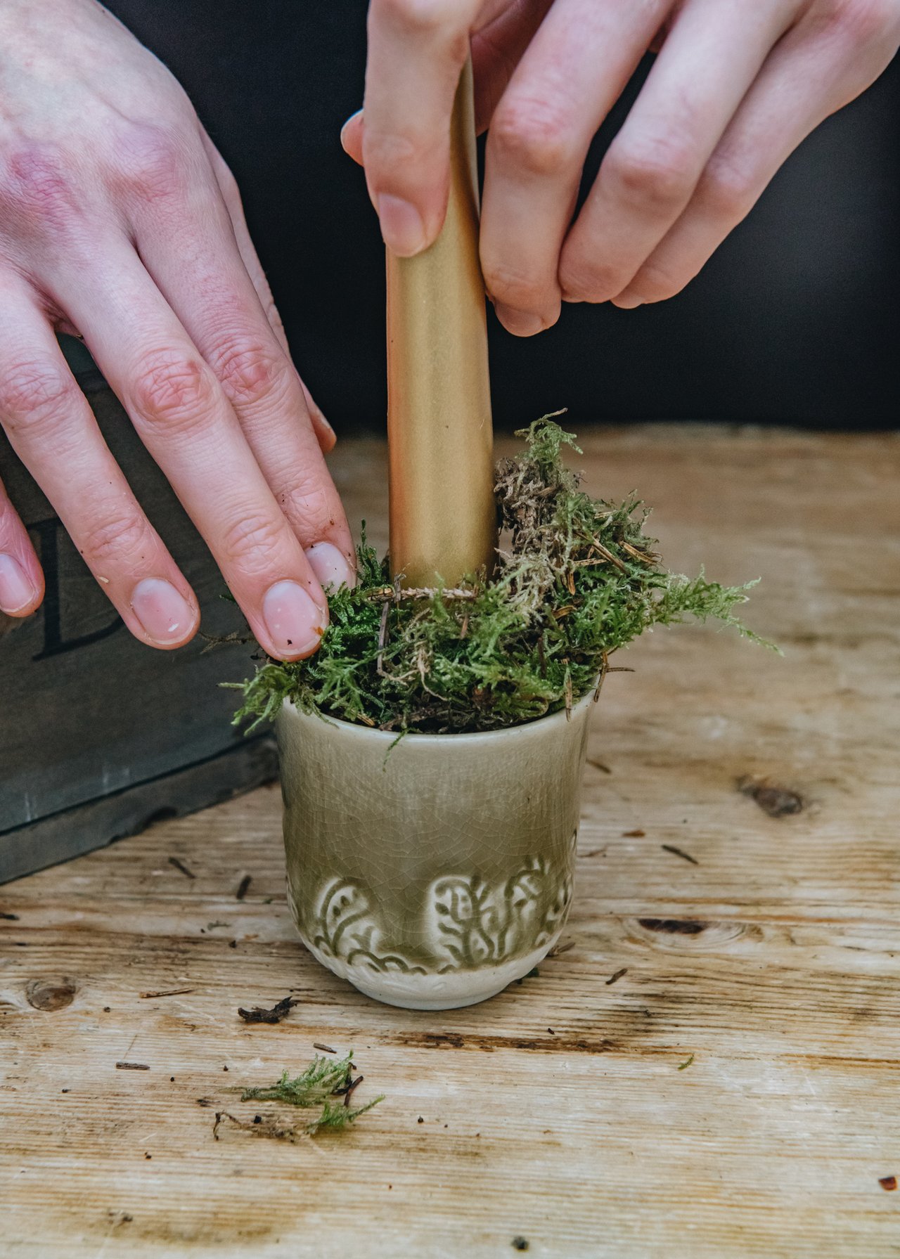 How to: Make a Mossy Candle Nest – Burford Garden Co.
